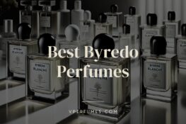 We Tried Every YSL Libre Perfume — Here’s What Stood Out