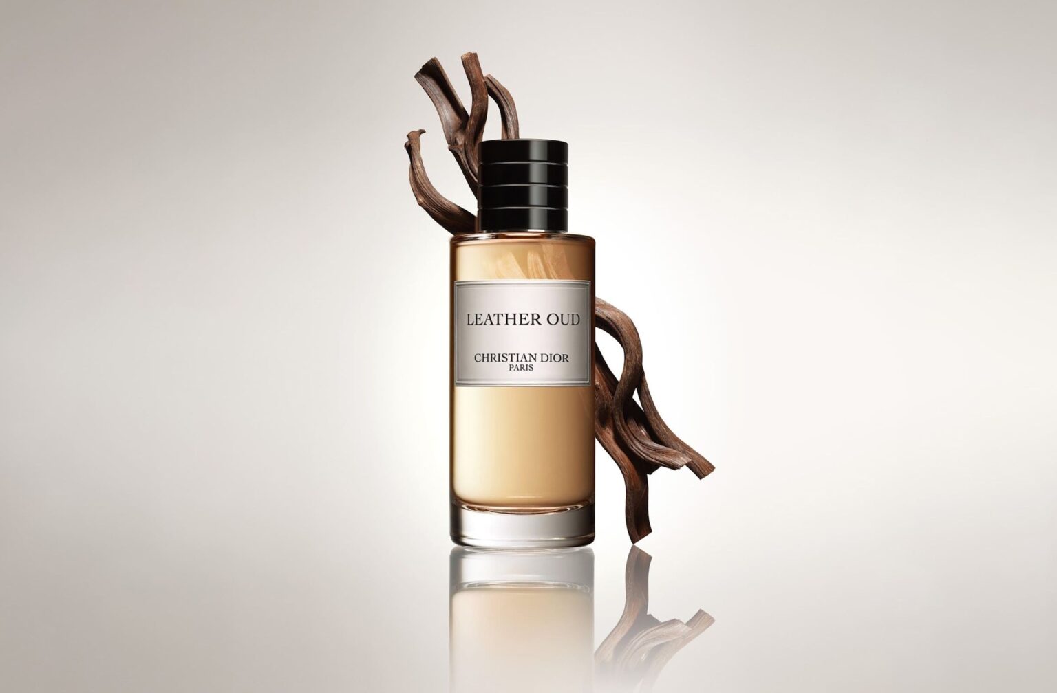 Best Dior Perfumes (for Men & Women) | vBlog