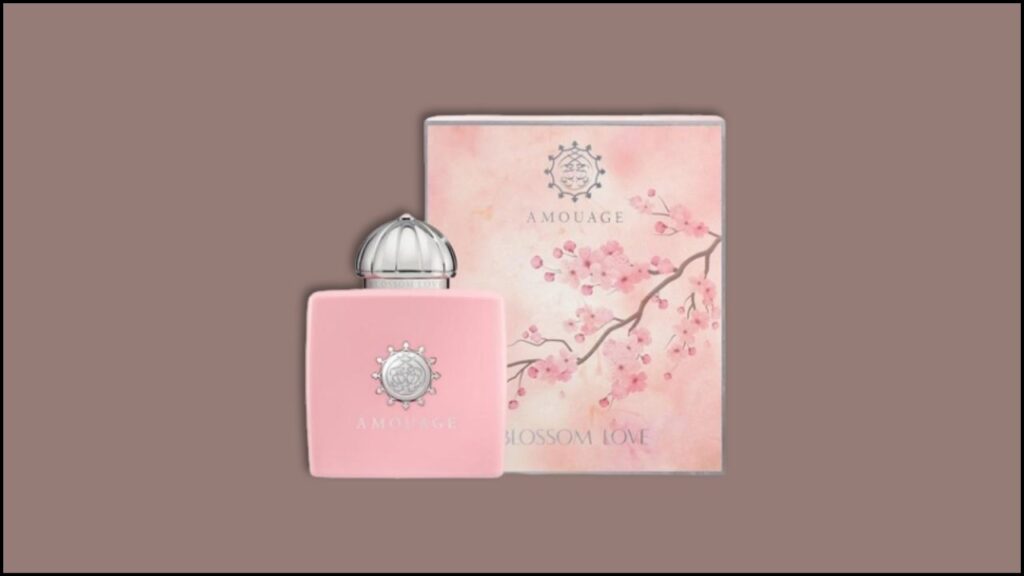 Best Amouage perfume you will love to wear