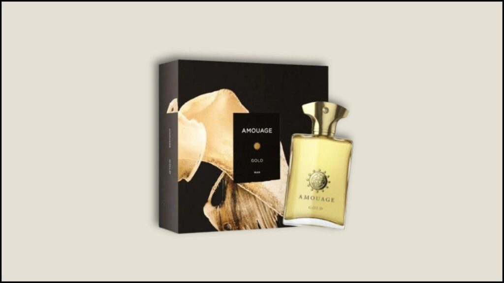 Best Amouage perfume you will love to wear