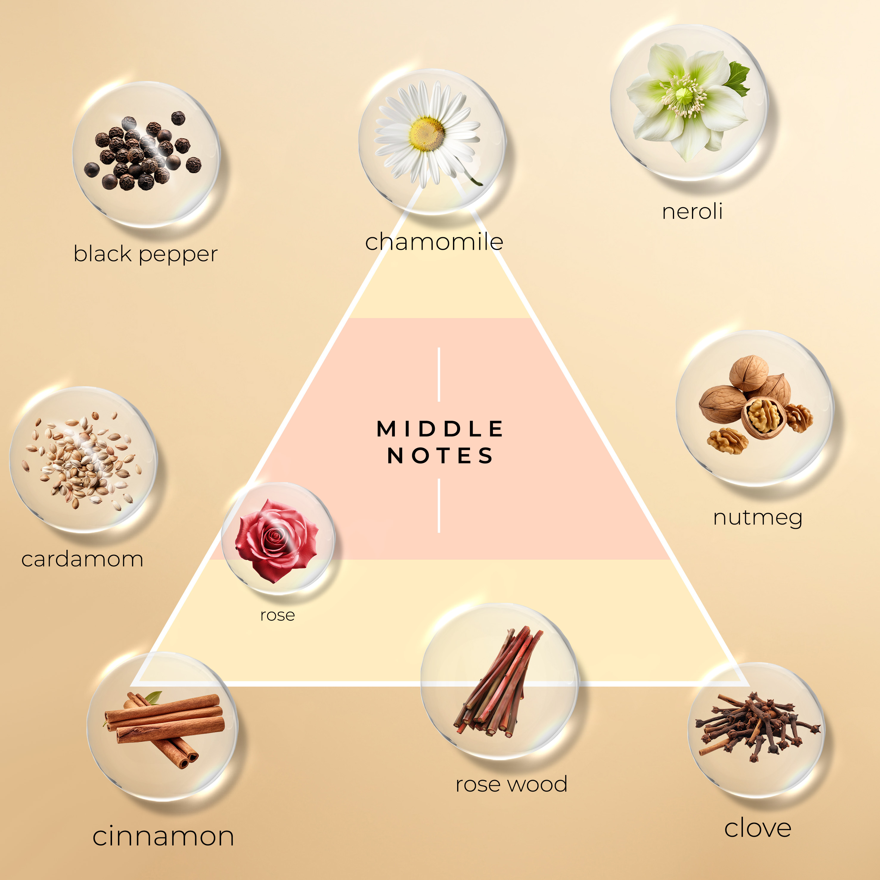 Comment fabriquer du parfum – Un guide de bricolage | vBlog