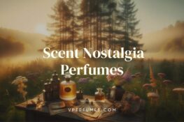 6+ Best Local Perfume Brands Originated in the UAE