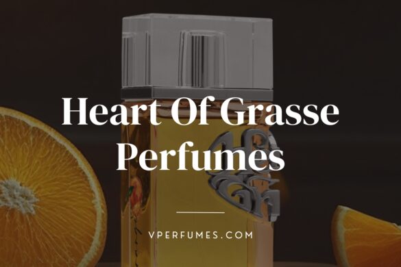 Best Azzaro Perfumes For You To Try in 2024