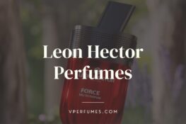 Tu guía rápida para encontrar el mejor perfume de Paris Hilton