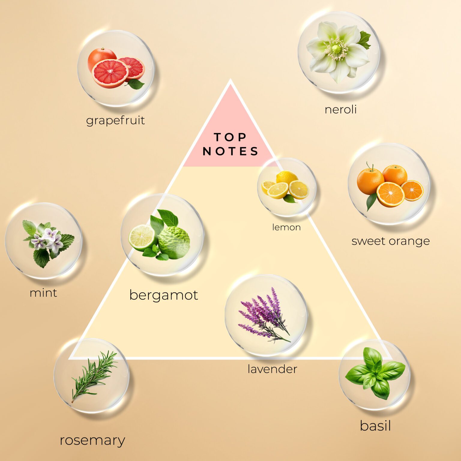 How To Layer Perfume To Create Signature Scent?