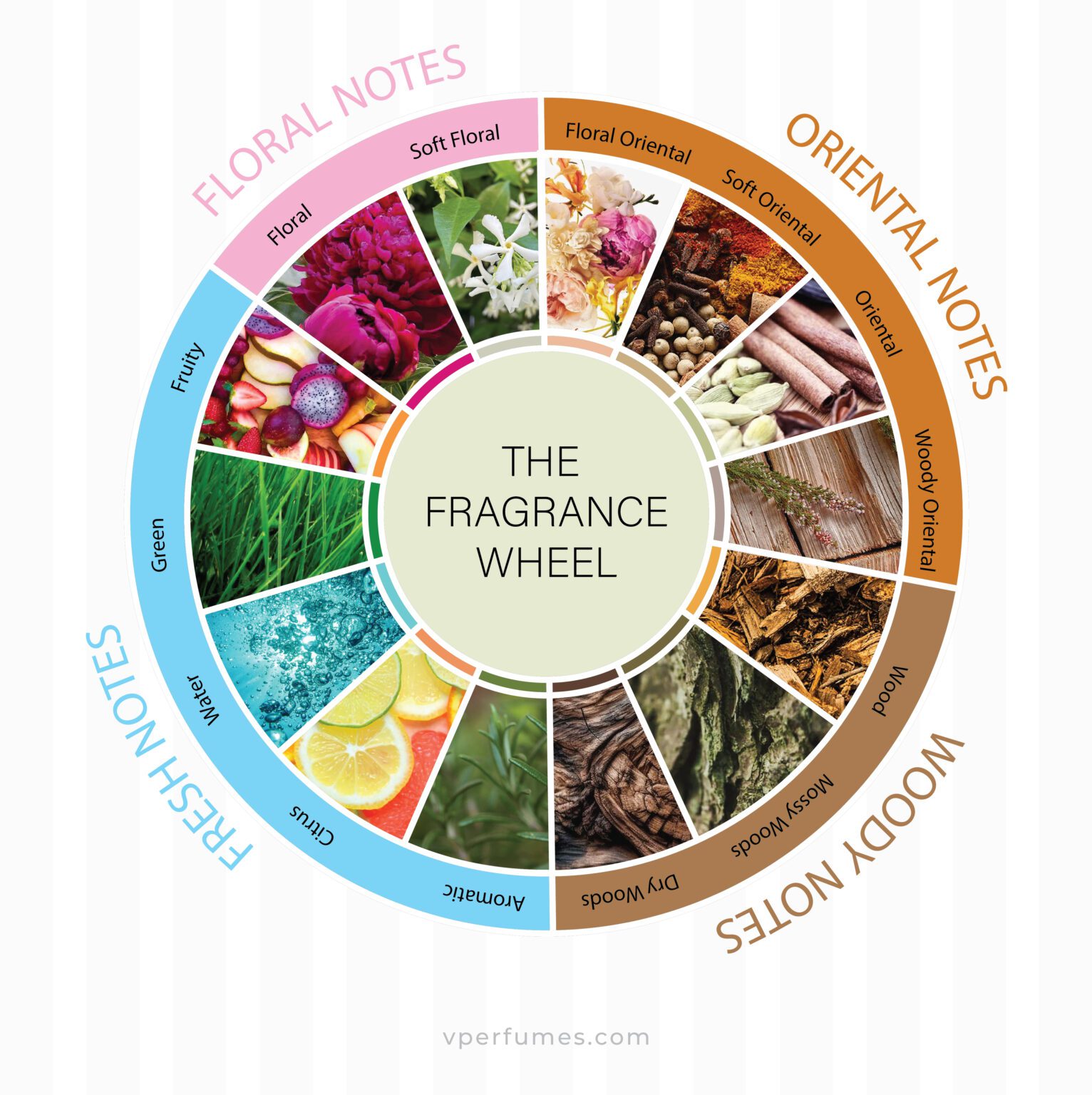 Know More About Fragrance Families & Notes | V Perfumes Blog