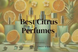 9+ Best Perfumes For Gym Workout (April 2026)