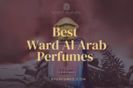 Best Arabic Perfumes You Need To Try