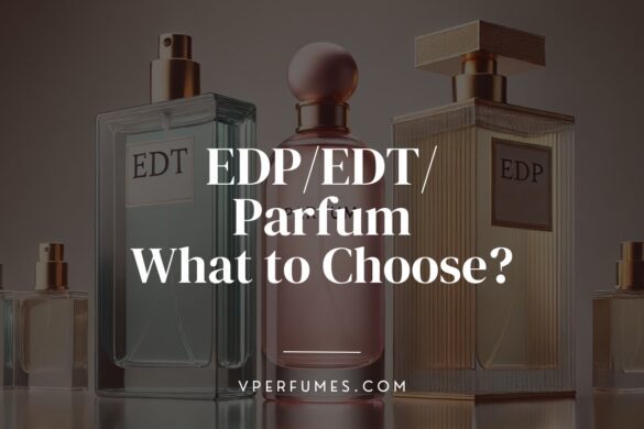 9+ Best Perfumes For Gym Workout (July 2024)