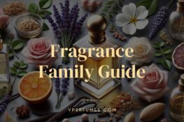 Top Niche Perfume Brands You Should Try