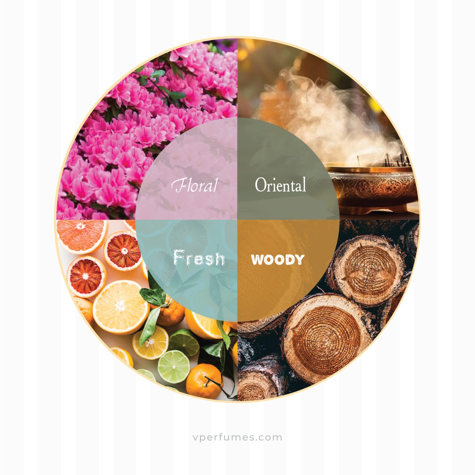 Know More About Fragrance Families & Notes | V Perfumes Blog