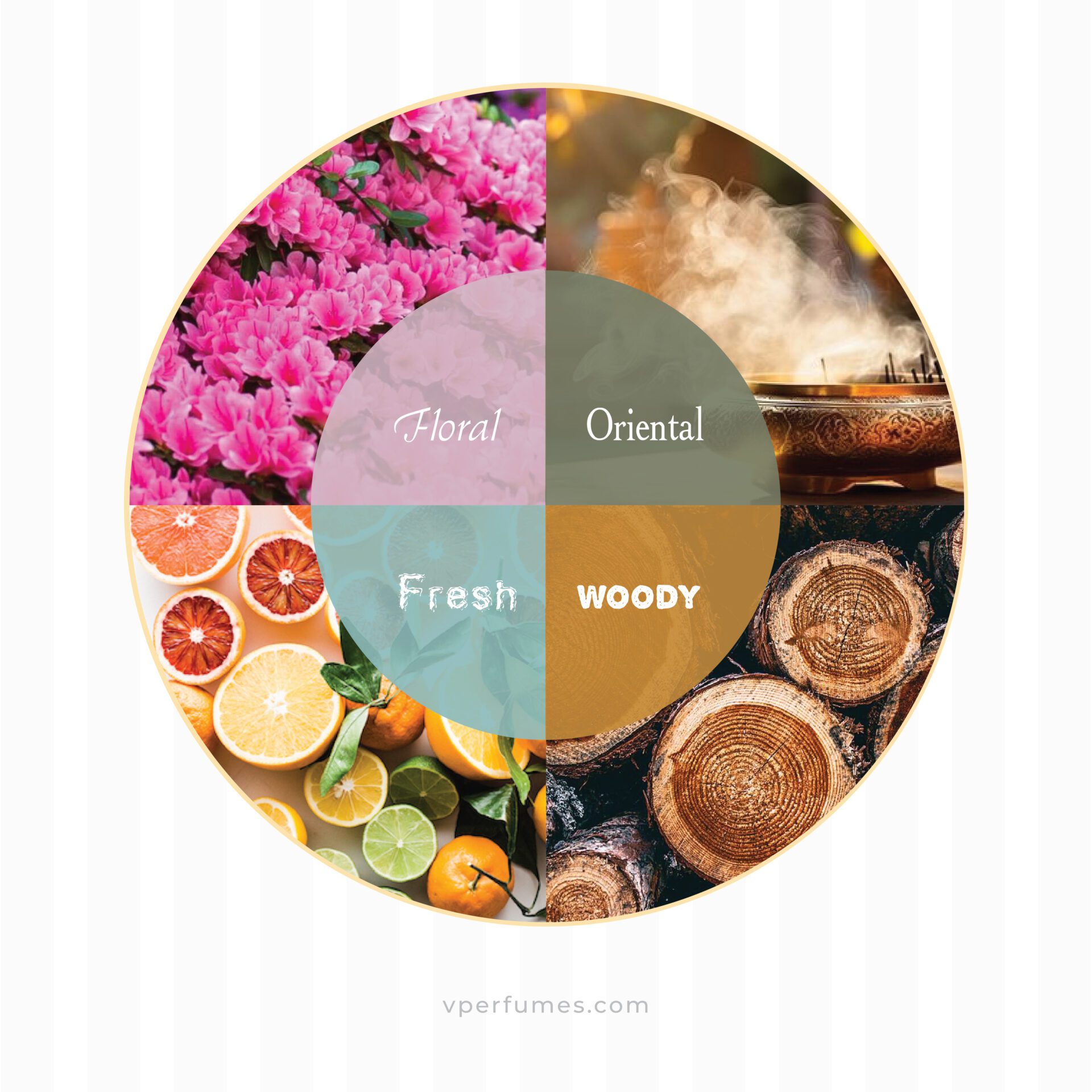 Know More About Fragrance Families & Notes | V Perfumes Blog