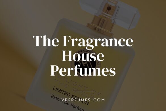 9+ Best Perfumes For Gym Workout (July 2024)
