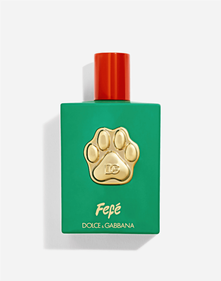 Dolce & Gabbana Has Launched A New Perfume - But It's For Dogs | vBlog