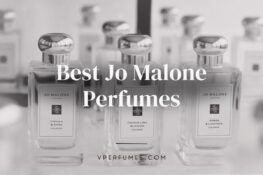 Perfumes con feromonas: ¿Qué son y funcionan? | vBlog