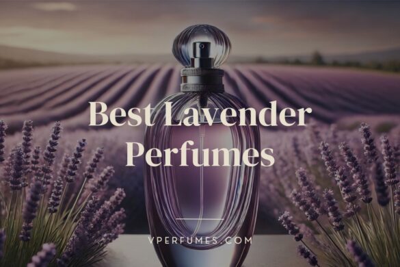 Our Handpicked Favorites From V Perfumes | vBlog