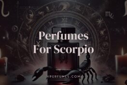 Top Niche Perfume Brands You Should Try