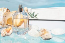 Love Milk? Try These Milky & Lactonic Fragrances | v Blog