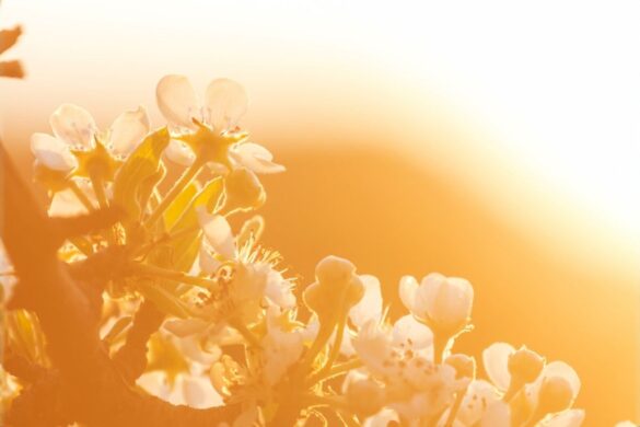 Love Milk? Try These Milky & Lactonic Fragrances | v Blog