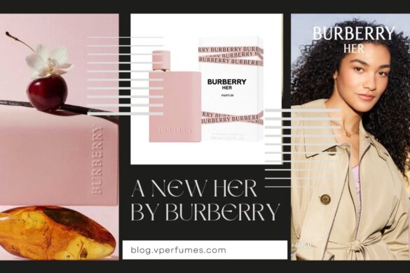 6+ Best Local Perfume Brands Originated in the UAE