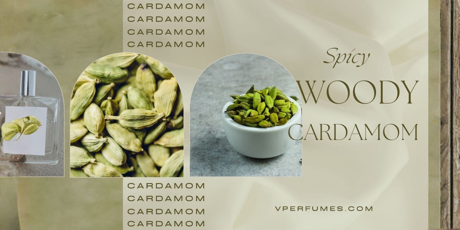 Cardamome : L’élément épicé et boisé secret de votre parfum | vBlog