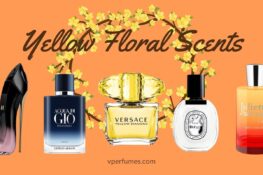 Las mejores marcas de perfumes de nicho que debes probar