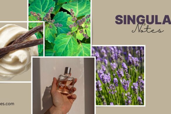 Ambroxan: The Polarising Synthetic | V Perfumes Blog